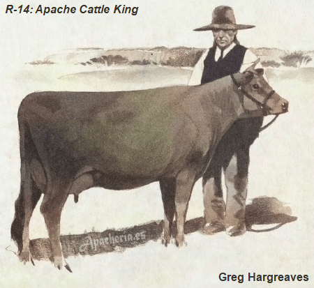 Western Apaches | Apachería